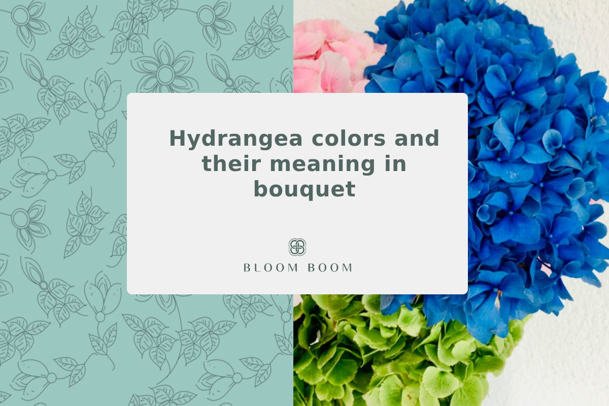 The Meaning of Hydrangea Colors in Bouquets: Bloom Boom