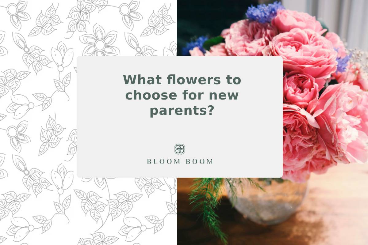 What flowers to choose for new parents? - Bloom Boom