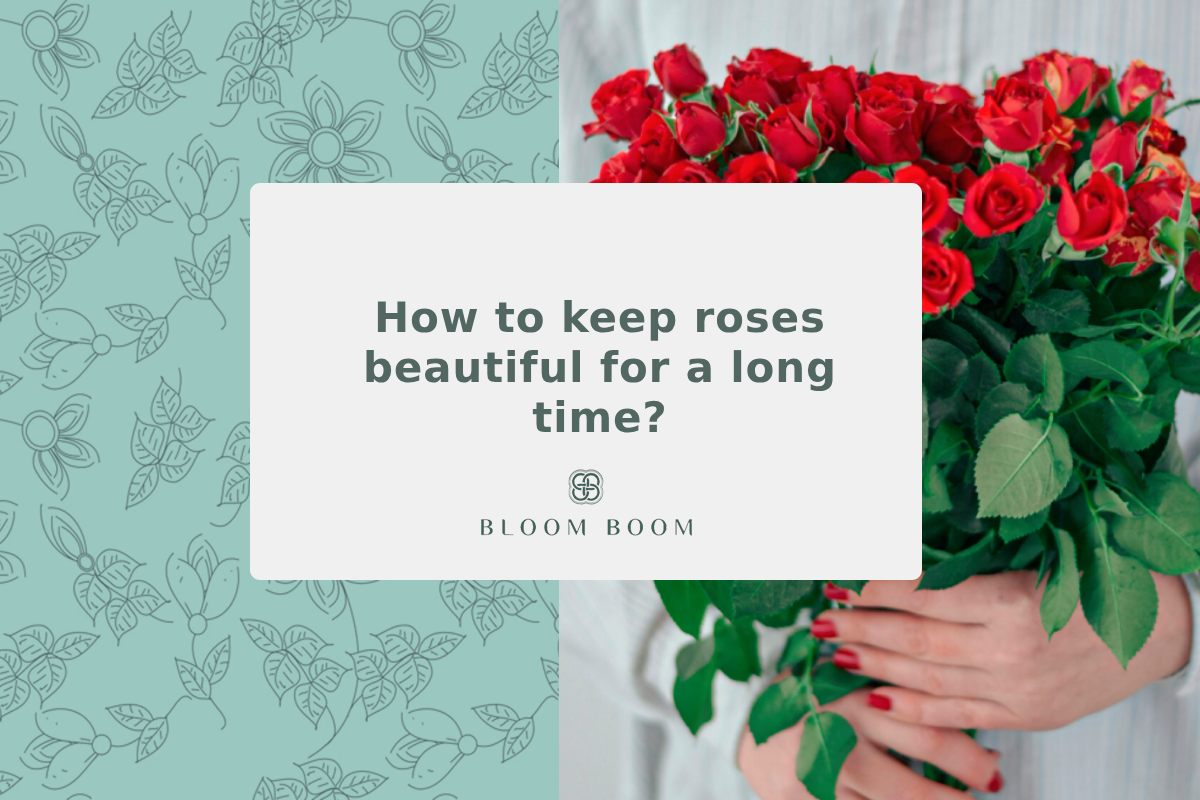 How to keep roses beautiful for a long time? — Bloom Boom